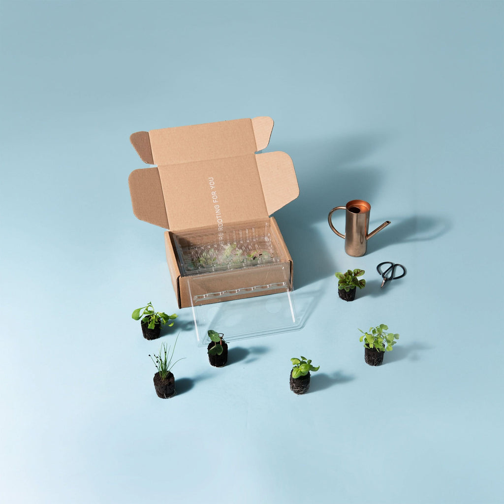 Grow Pack Bundle