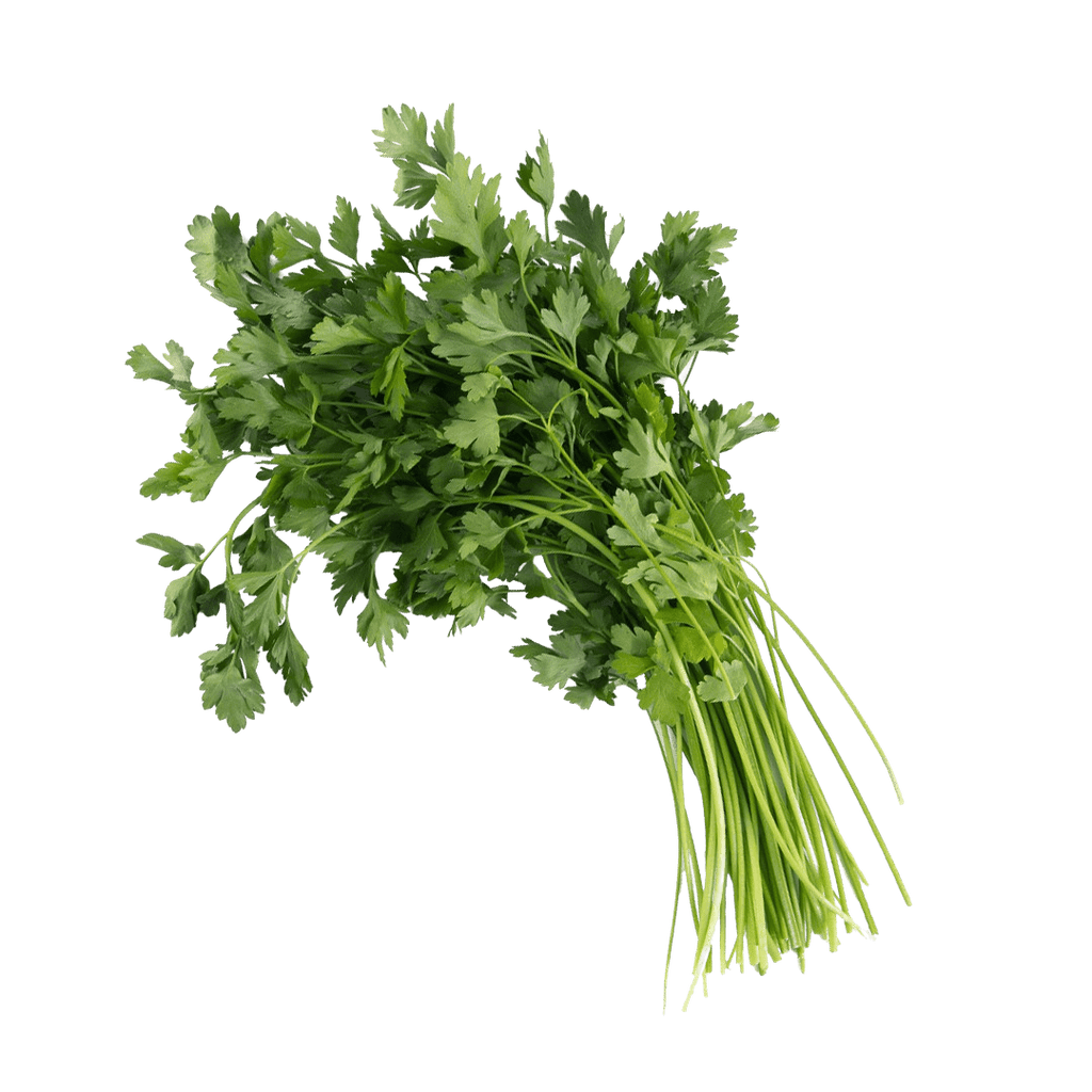 Italian Parsley