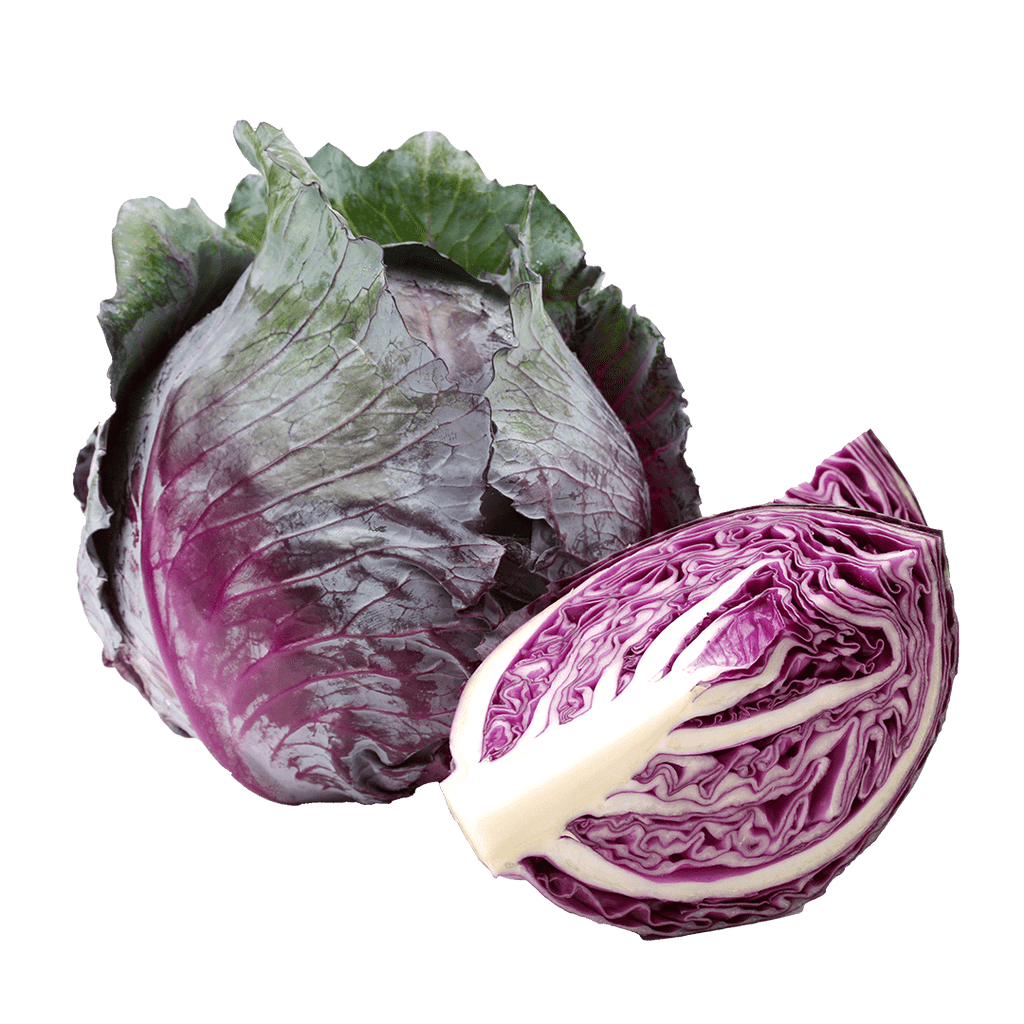 Red Express Cabbage