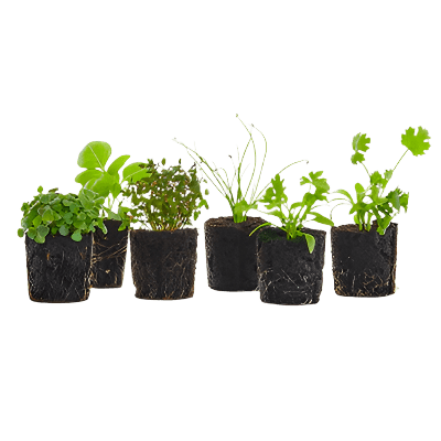 Grow Pack (80 Credits)