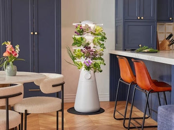 Meet the Farmstand Nook